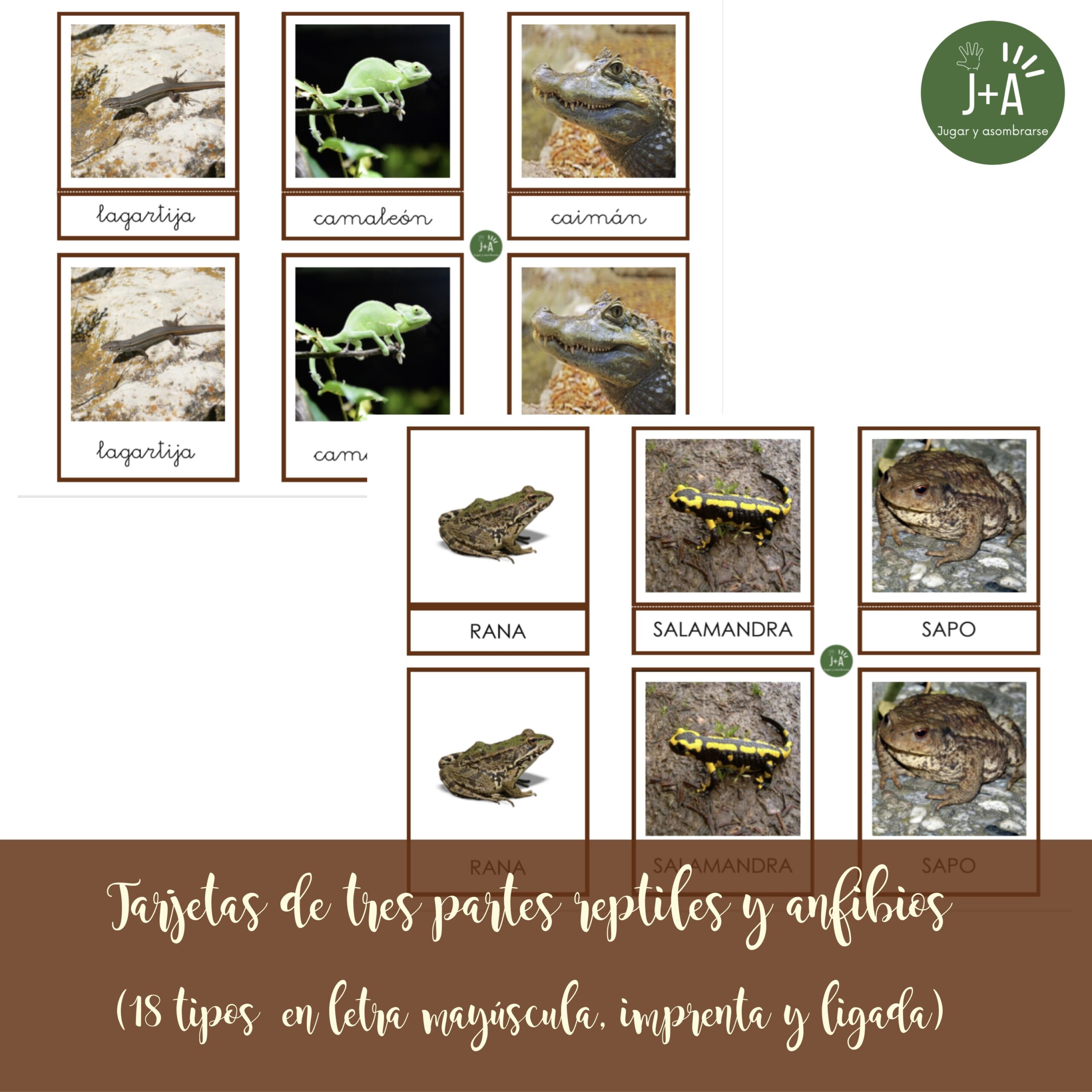 Montessori en Casa — Montessori en Casa